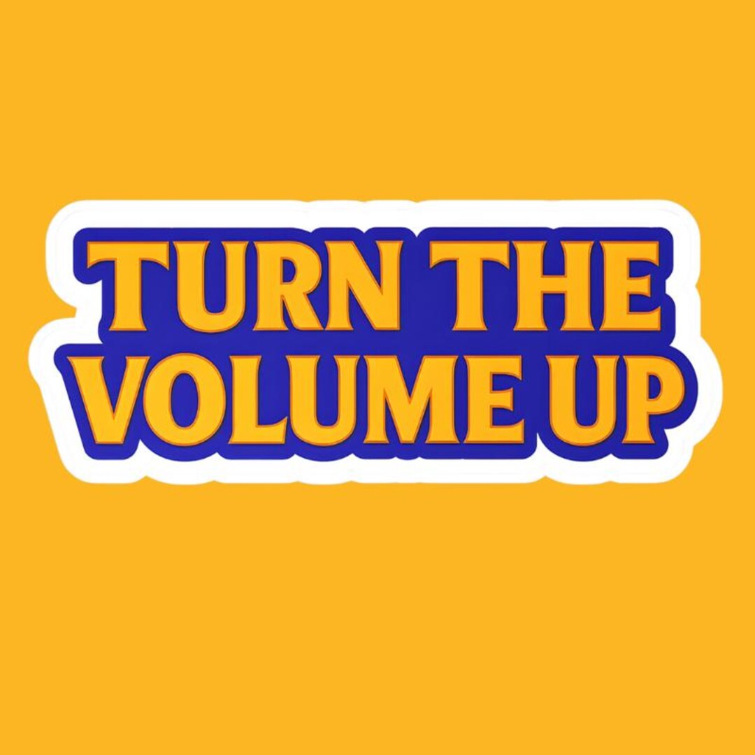 Turn the Volume up Zohran Mamdani Vinyl Decal Sticker - Etsy Canada