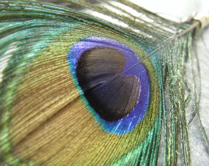 The Nonsensical Peacock -feather Pen - Etsy