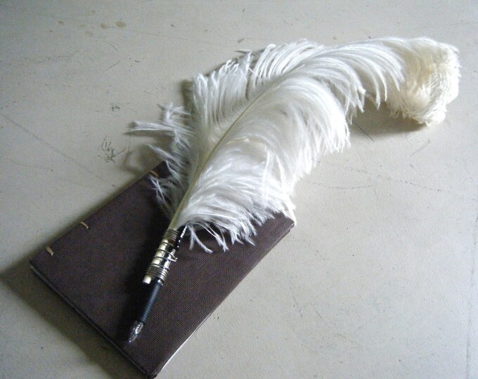 Feather Pen the Obnoxious Emu - Etsy