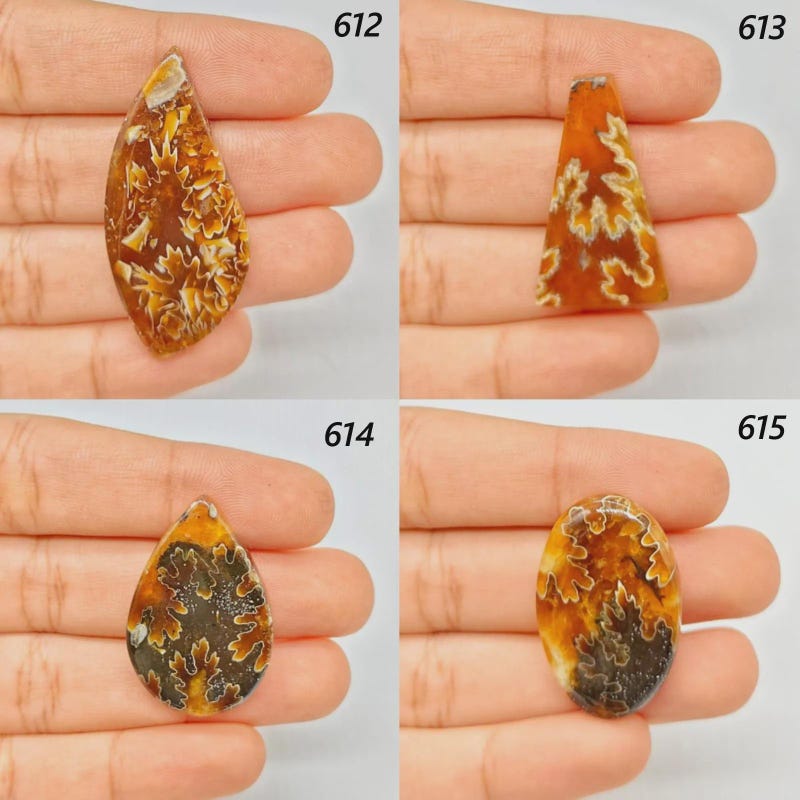 Suture Ammonite Pendant - Etsy