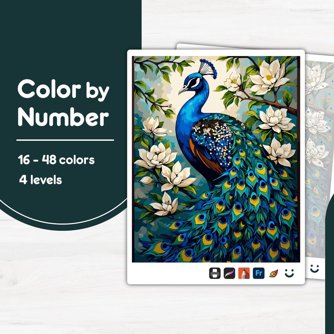 Vibrant Peacock Color by Number PBN for Procreate, Sketchbook, Prints ...