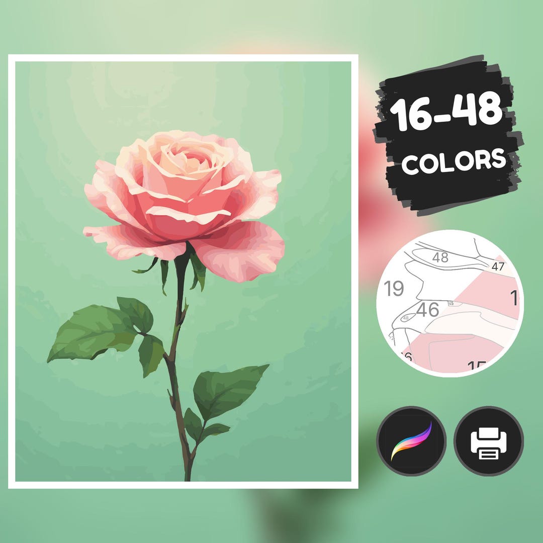 Sole Rose Color by Number Pages, Paint by Number, Digital, Procreate ...