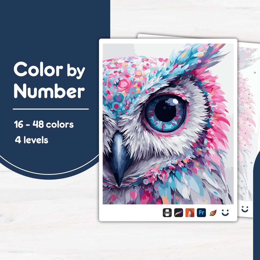 Blue Pink Owl Color by Number PBN for Procreate, Sketchbook, Prints ...