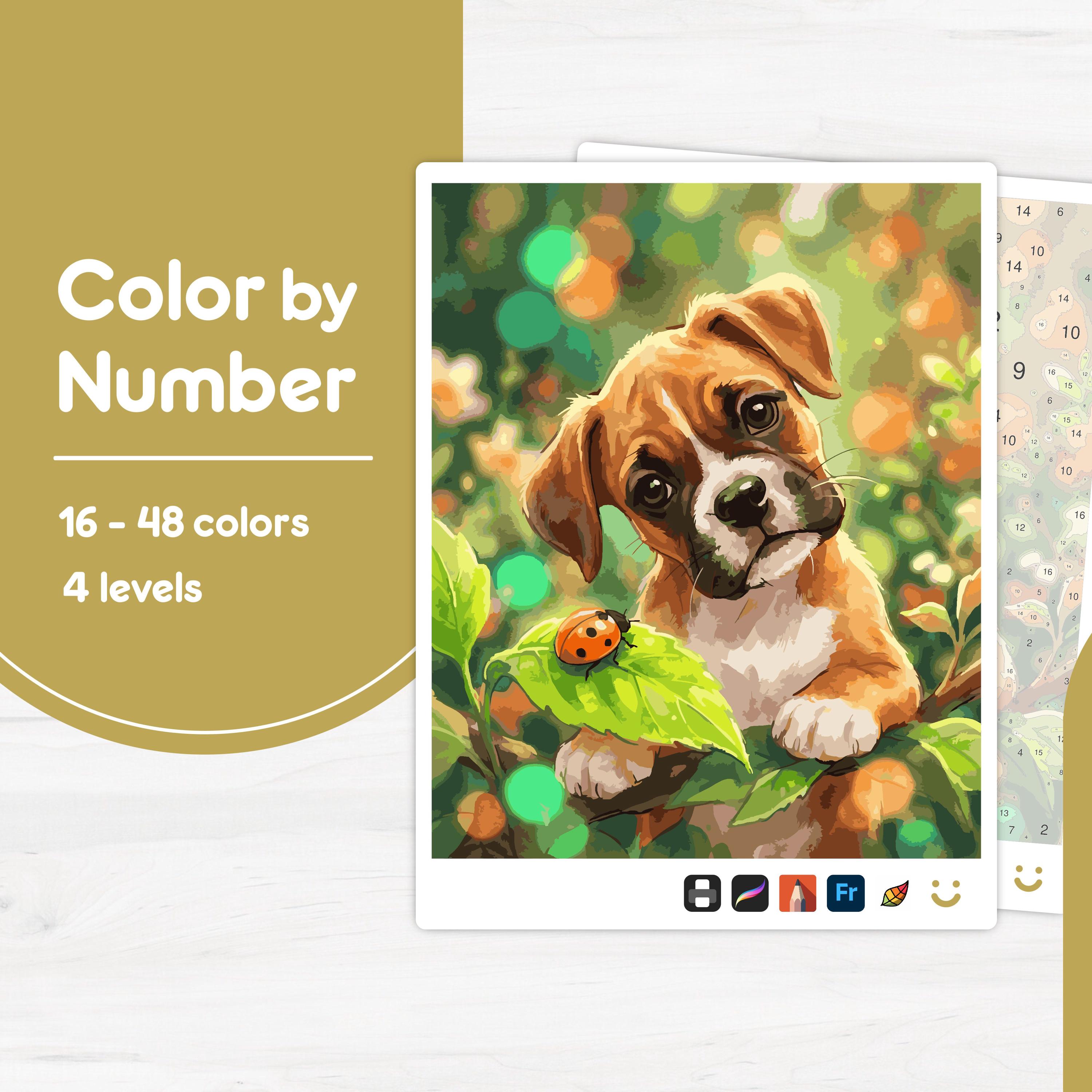 Cute Puppy Close-up - Color by Number - Digital & Printable - 4 Levels ...