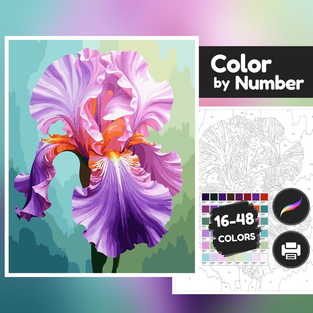 Colorful Iris Flower Advanced Color by Number, Paint by Number ...