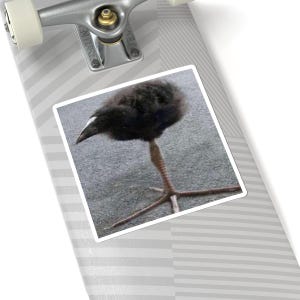 Pukeko Bird Kiss-cut Stickers, Funny Pukeko Bird Decal, Cute Animal ...