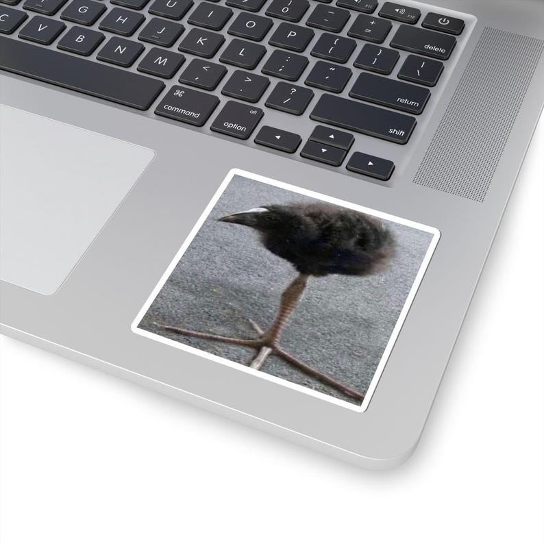 Pukeko Bird Kiss-cut Stickers, Funny Pukeko Bird Decal, Cute Animal ...