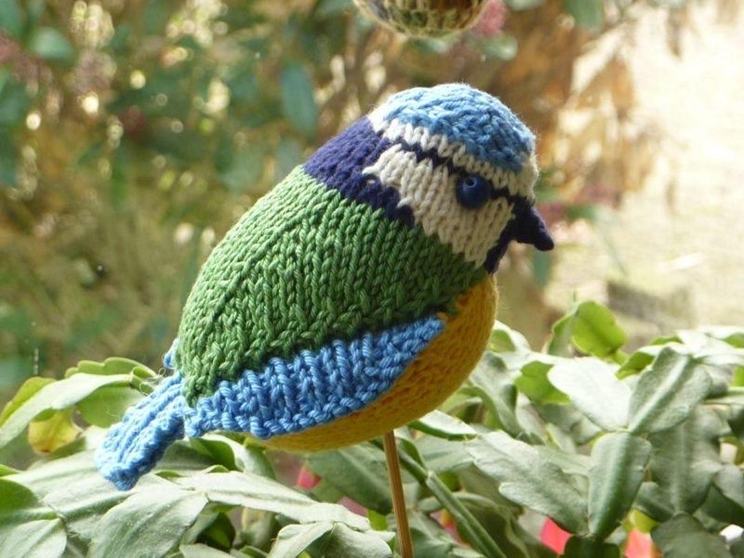 Adorable Knitted Bird Pattern for Beginners-easy Thing to Crochet Small ...