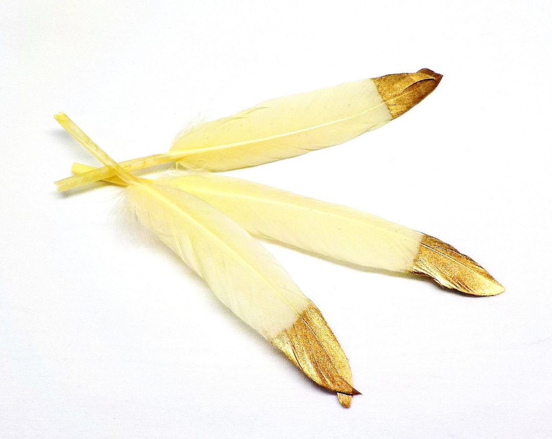 Beige Gold Dipped Natural Feathers, Gold Painted Beige Feathers ...