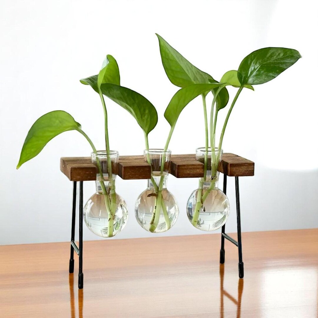 Glass Plant Propagation Station Wall Planter | Indoor Hydroponic Vase ...
