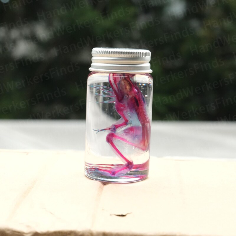 Diaphonization - Etsy