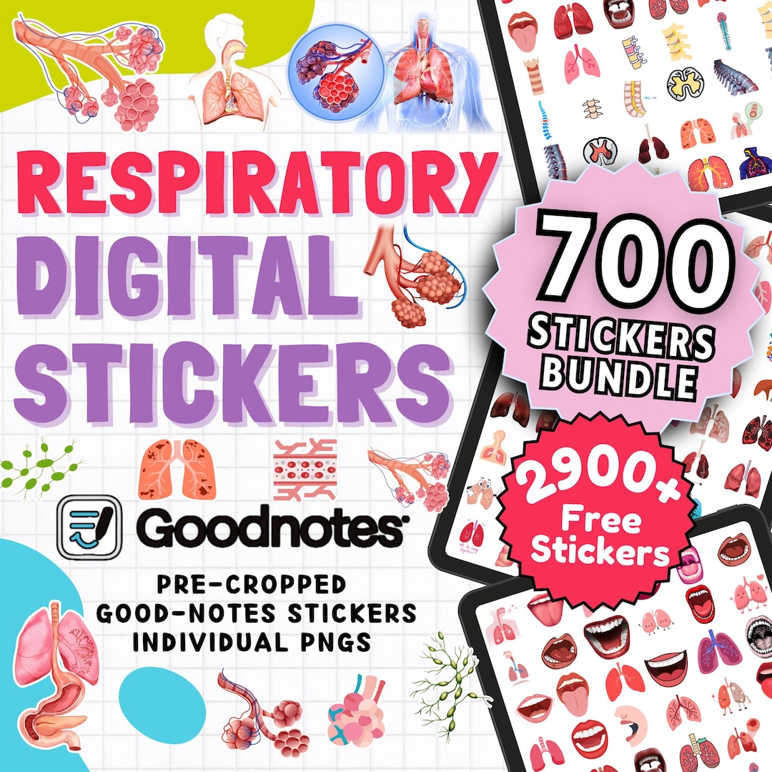 Respiratory System Digital Stickers for Goodnotes | 700 PNG & Pre ...