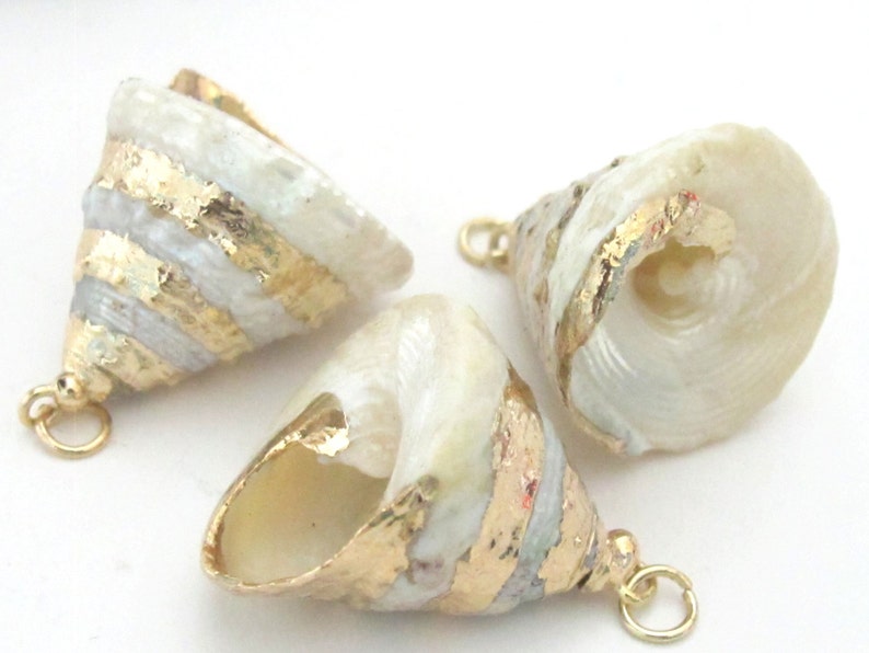 Small Size Conical Pearl Troca Shell Gold Edged Pendant 1 - Etsy