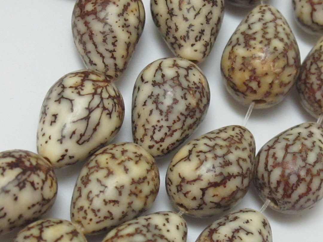 10 Beads-natural Salwag Teardrop Shape Seed Beads - NB004A - Etsy
