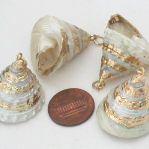 Gorgeous Conical Pearl Troca Shell Gold Edged Pendant - 1 Piece ...