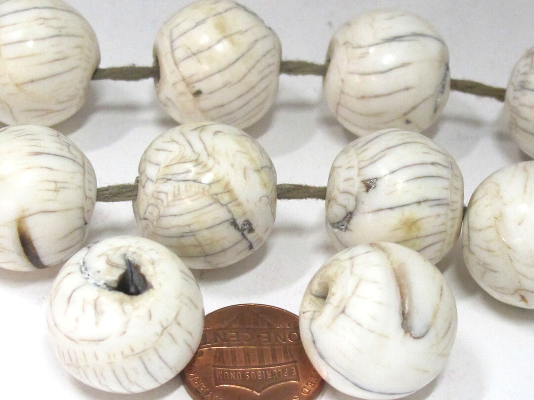 1 Bead - Large Size Ethnic Tibetan Nepal Natural Naga Conch Shell Chank ...