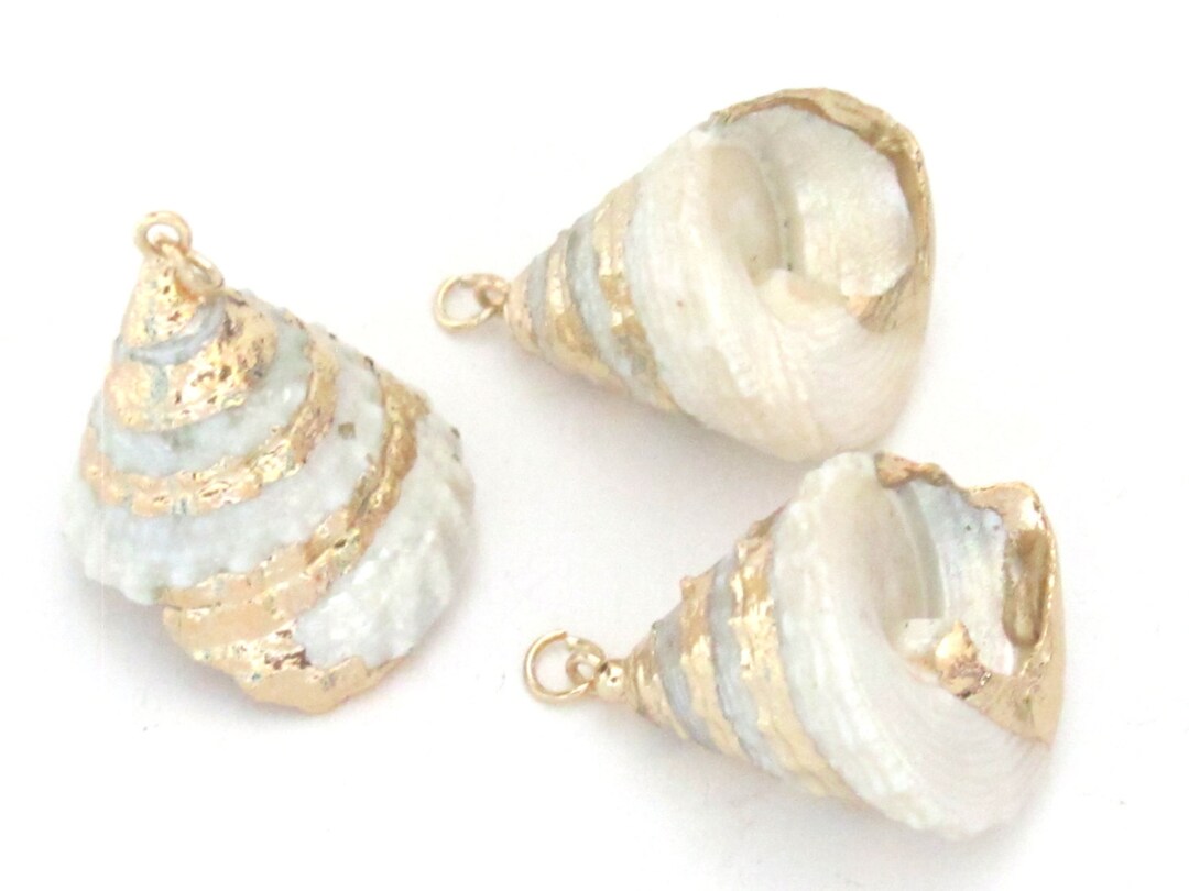 Small Size Conical Pearl Troca Shell Gold Edged Pendant - 1 Piece ...