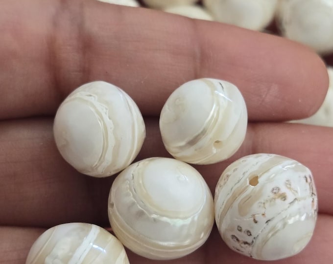 4 Troca Mother of Pearl MOP Shell Beads | 14-15mm Lustrous Natural ...
