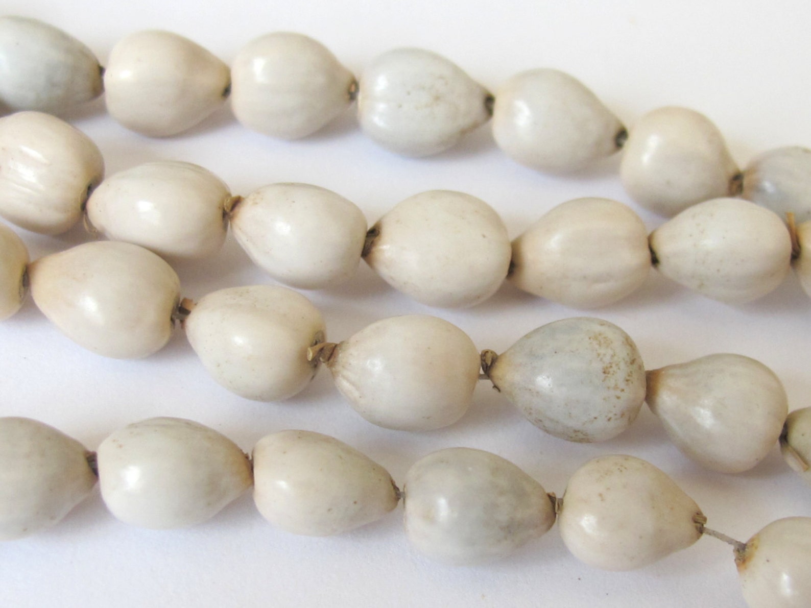 10 BEADS - Natural Panyas Whole Nut Teardrop Shape Seed Beads - NB112 ...