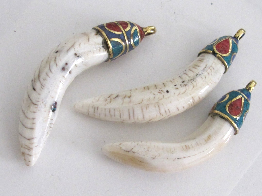 Tibetan Naga Conch Shell Pendant With Turquoise Lapis Inlay - SP003 - Etsy