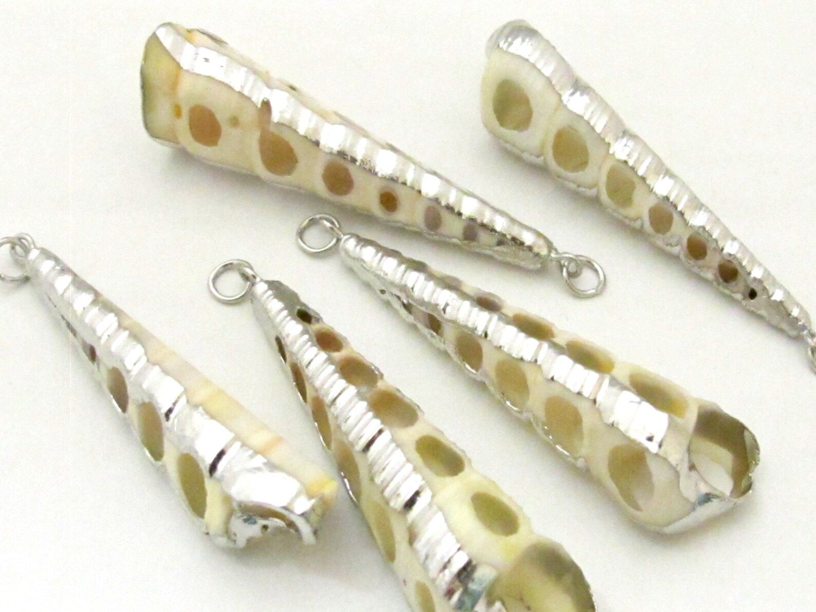 1 Pendant - Long Sliced Conical Shell Silver Plated Shell Pendant ...