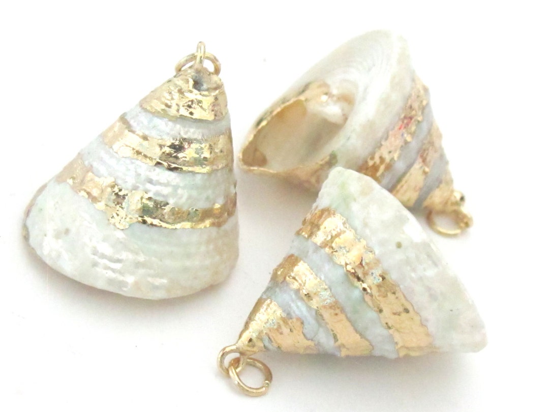 Gorgeous Conical Pearl Troca Shell Gold Edged Pendant - 1 Piece ...