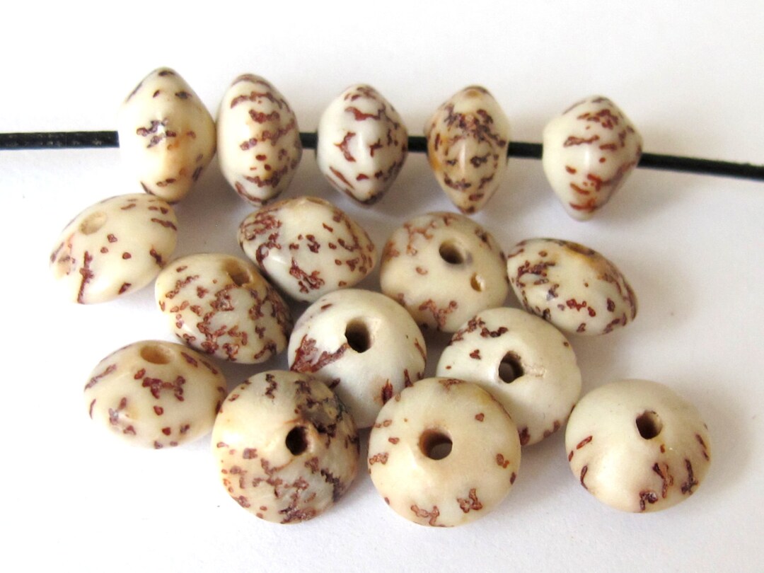 10 BEADS - Natural Salwag Palmwood Seed Beads Rondelle Saucer Shape ...