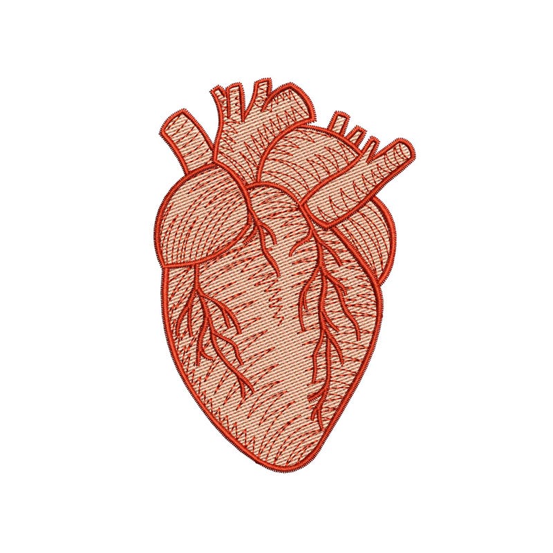 Realistic Heart - Etsy