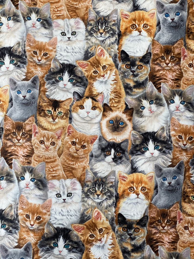 Realistic Stacked Cats - Etsy