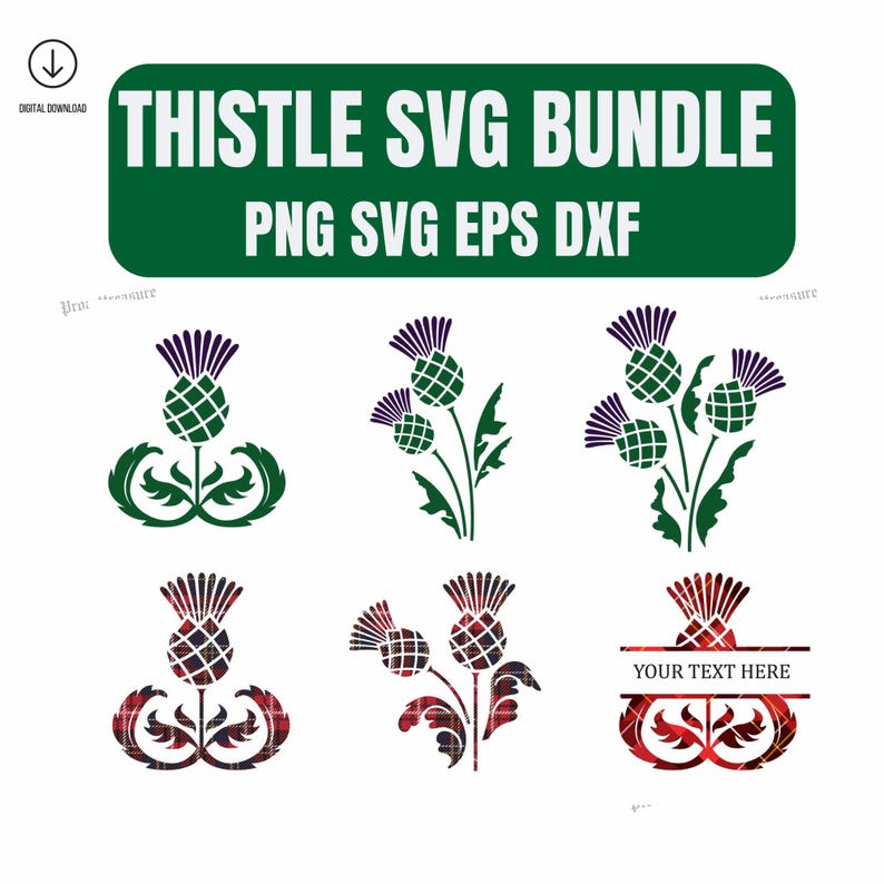 Scottish Thistle Tartan Svg Png Bundle, Thistle Digital Art, Scottish ...