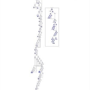 Evidence Flowchart & Outline for Law School | Bar Exam Study Guide (PDF ...