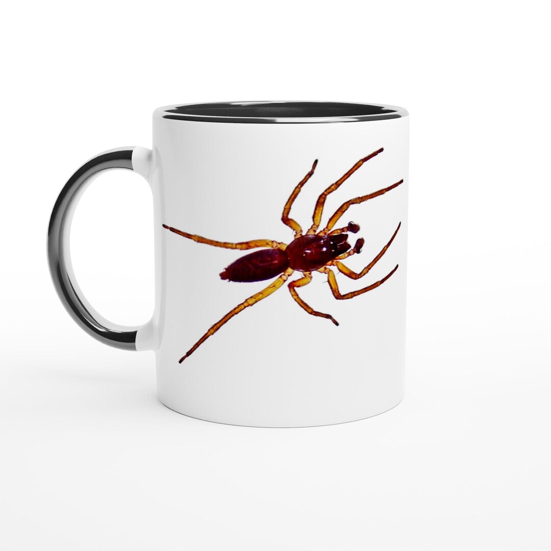 Creepy Spider Coffee Mug - Unique Arachnid Gift - Ceramic Mug Spider ...