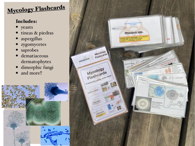 Mycology Flashcards: Fungi Identification, Study Aid, Laminated Cards ...