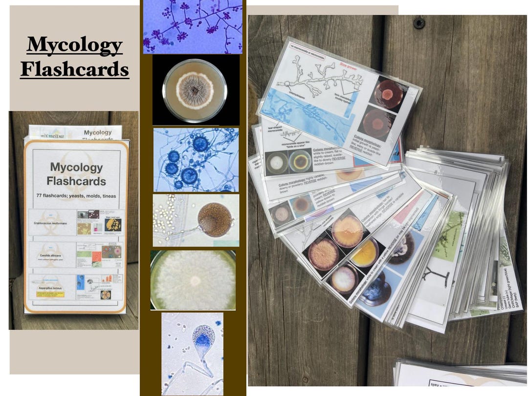 Mycology Flashcards: Fungi Identification, Study Aid, Laminated Cards ...