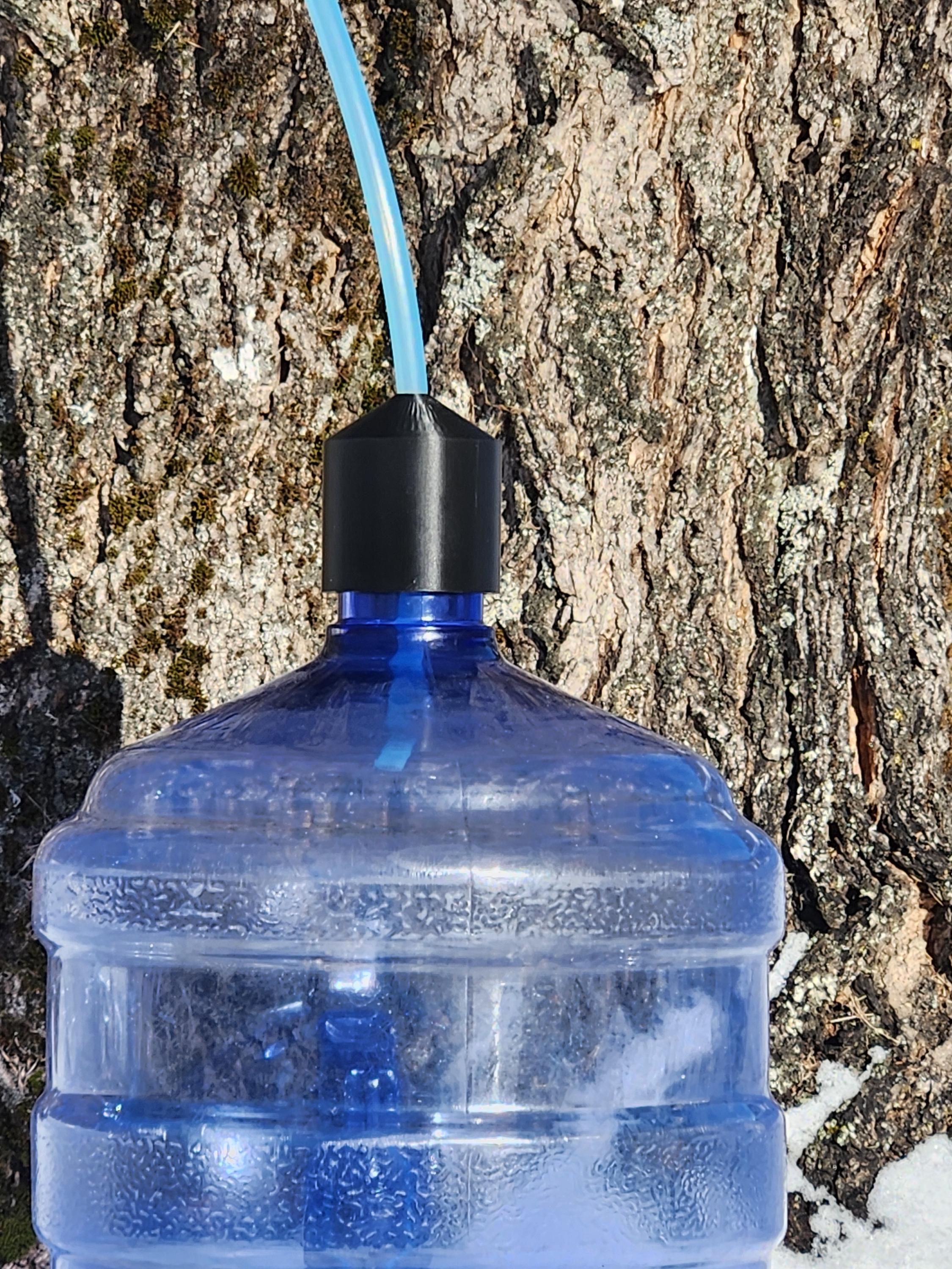 Sap Caps - 5-gallon Jug Caps for 5/16 Maple Sap Lines - Etsy