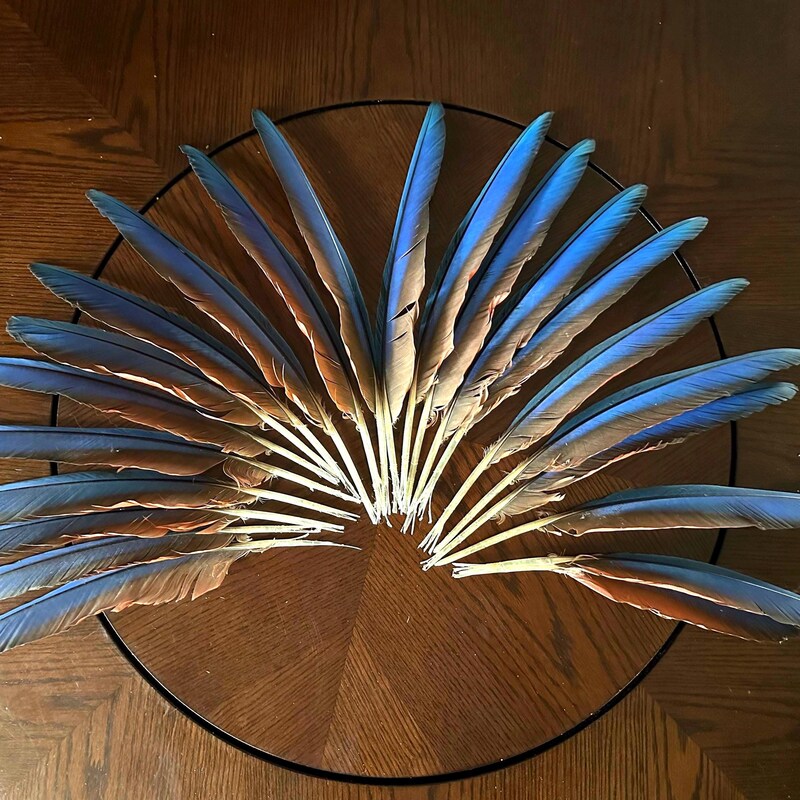 Feather Tickler - Etsy