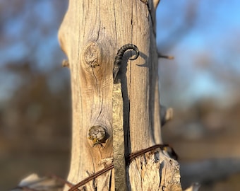 Hand Forged Bookmark - Etsy