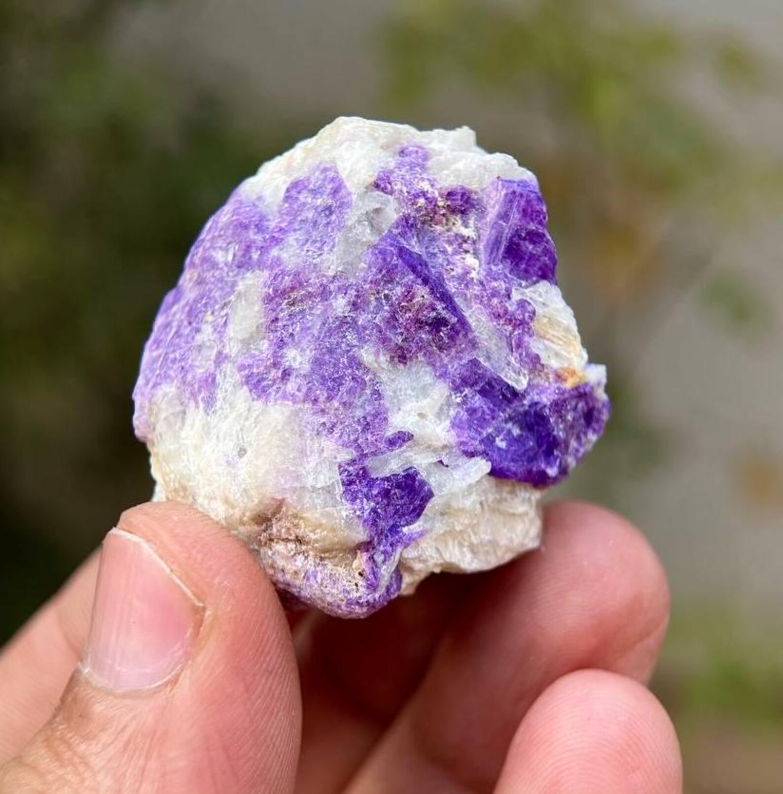 35 Gram Uv-reactive Hackmanite Raw Specimen | Raw Hackmanite, Purple ...