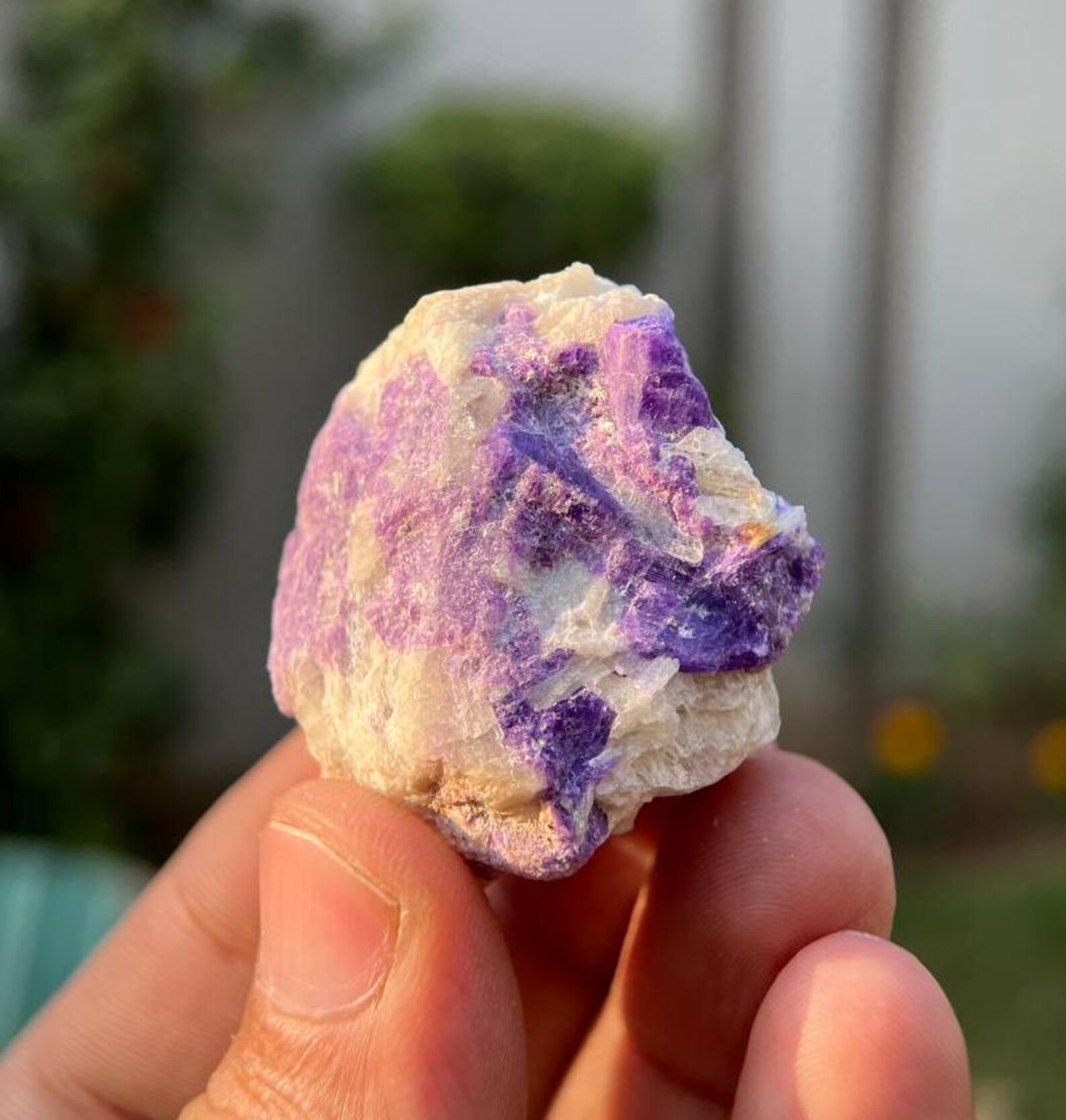 35 Gram Uv-reactive Hackmanite Raw Specimen | Raw Hackmanite, Purple ...