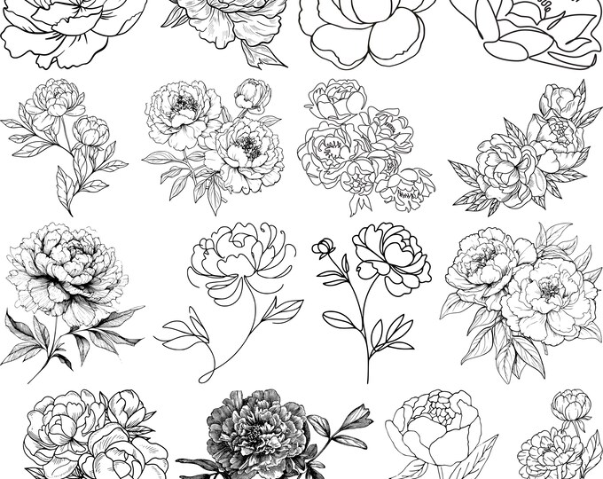 Peony Paper Flower Template, Peony SVG Cut Files and Printable Pdfs ...