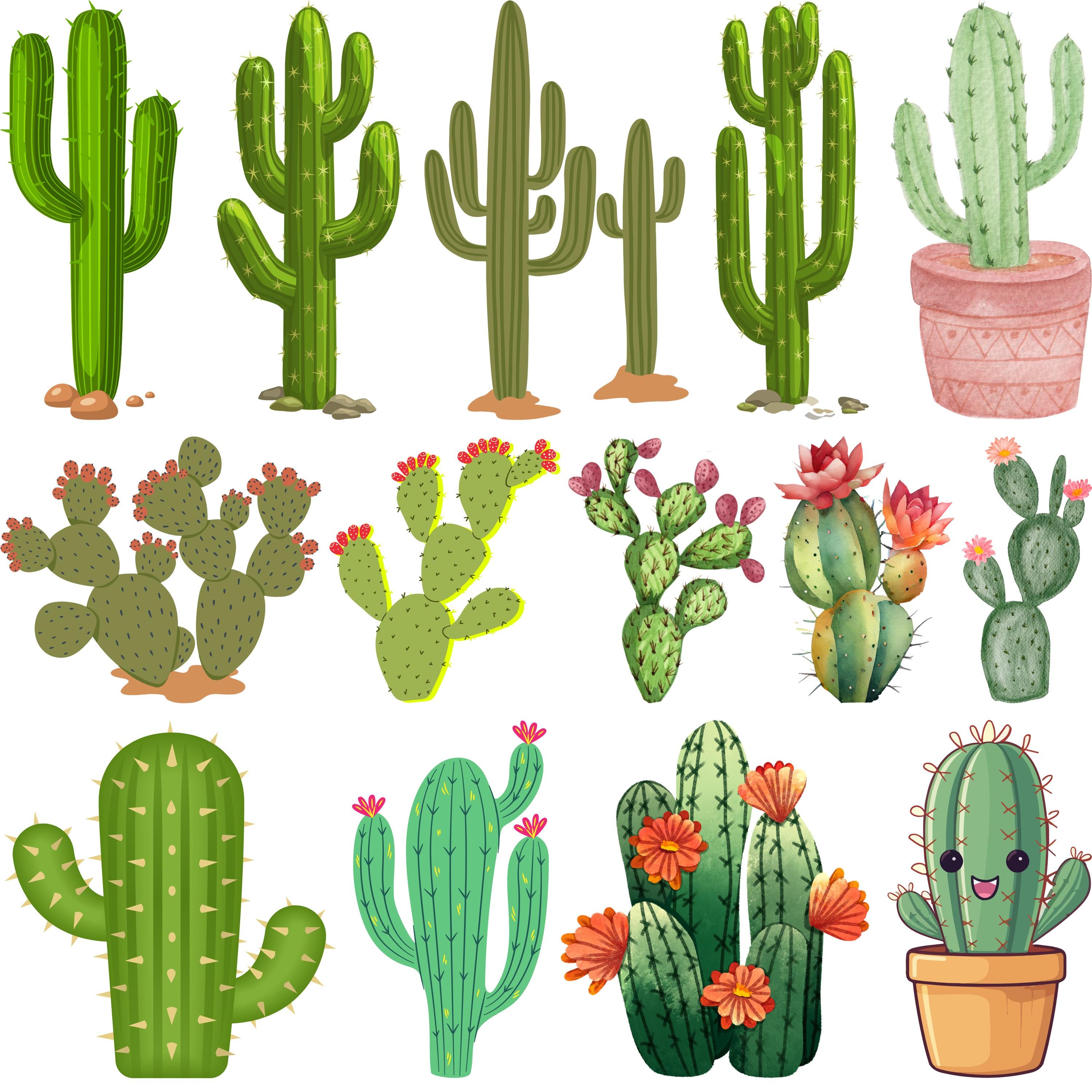 Cactus Svg Bundle, Cactus Svg Files for Cricut, Variegated Cactus ...
