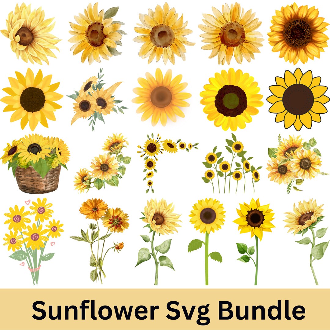 Sunflower SVG Bundle, Sunflower Files for Cricut, Sunflower Clipart ...