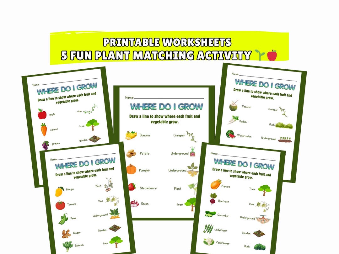 Where Do I Grow Matching Worksheets | Fruit Vegetable Plant Science ...