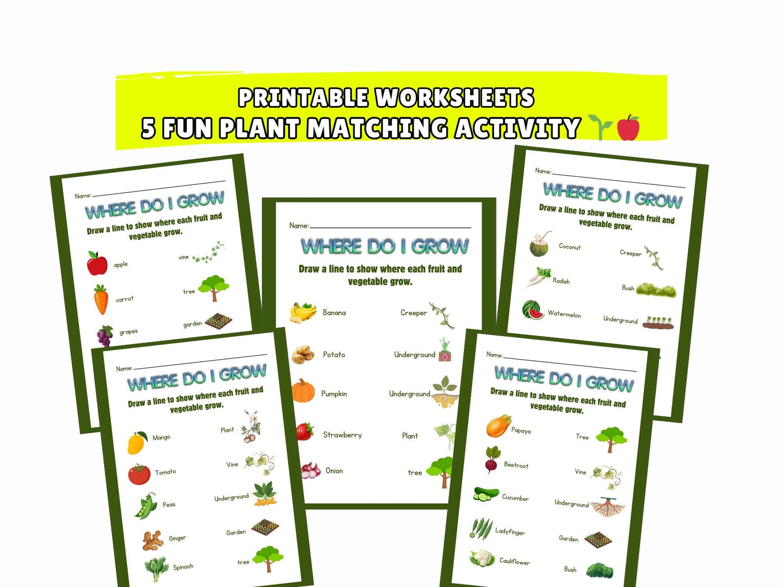 Where Do I Grow Matching Worksheets | Fruit Vegetable Plant Science ...