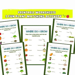 Where Do I Grow Matching Worksheets | Fruit Vegetable Plant Science ...