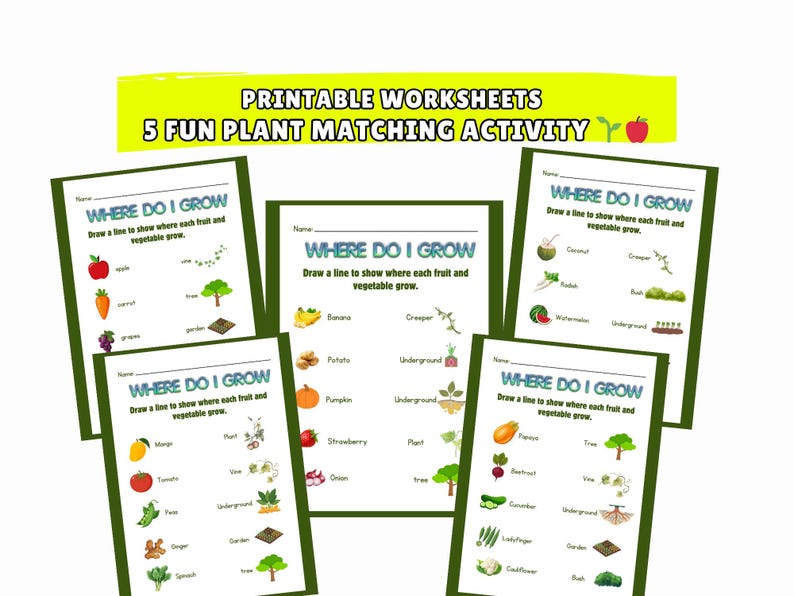 Printable Where Do I Grow Worksheets | 5 Fruit and Vegetable Matching ...
