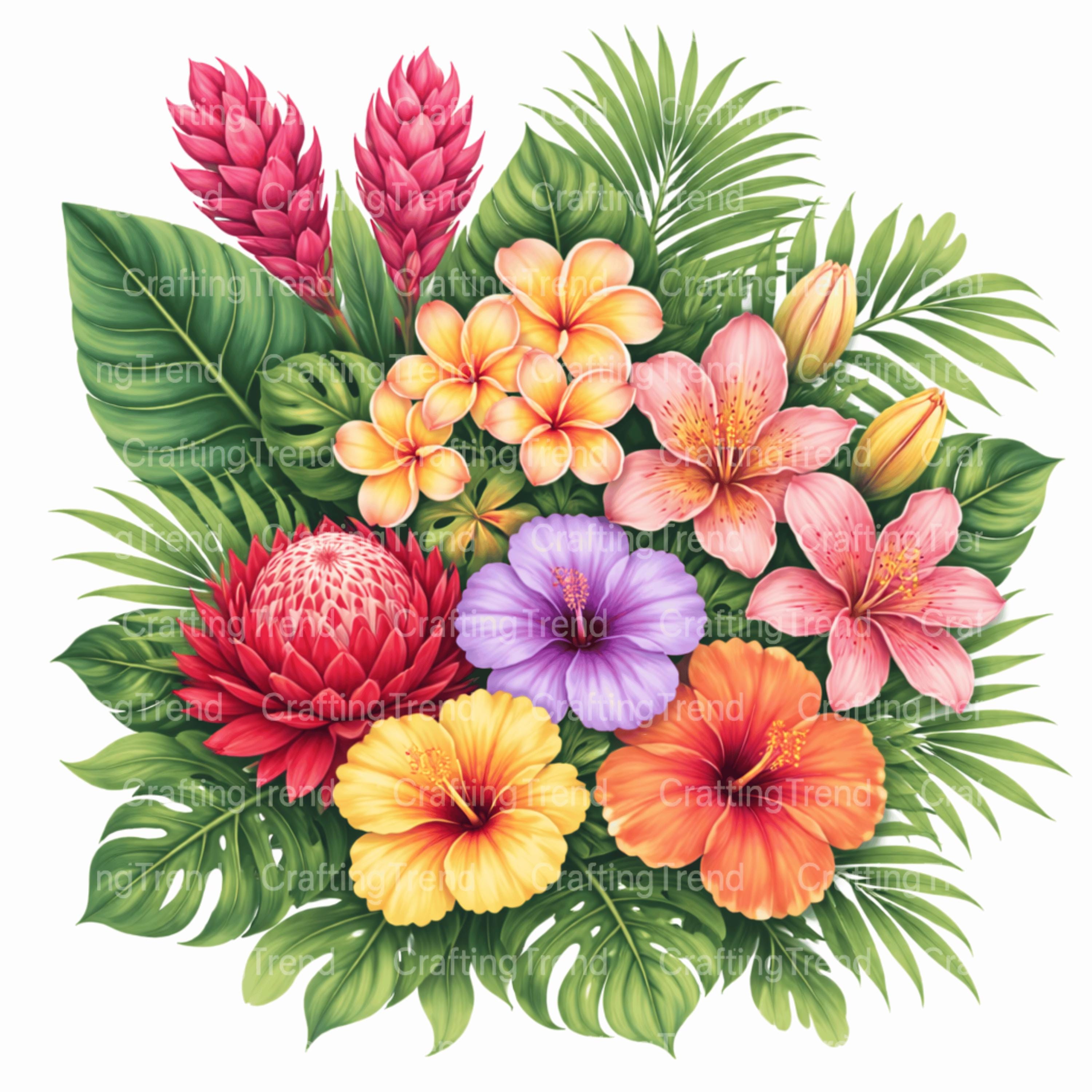10 Tropical Flower Clipart PNG Hibiscus Orchid Bird of Paradise ...