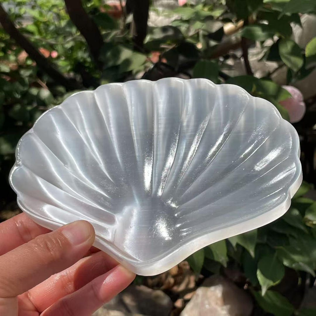 Hand Carved Selenite Crystal Sea Shell Bowl, 6
