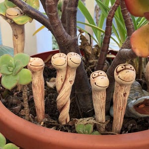Planter Creeps Tiny Assortment, (3 Tiny Single Creeps and One Tiny ...