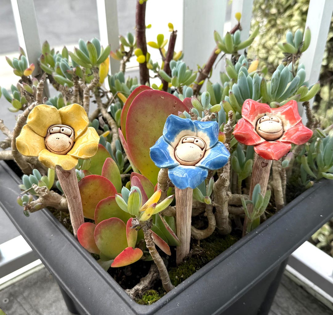 Planter Creep Medium Flower Handmade Stoneware - Etsy